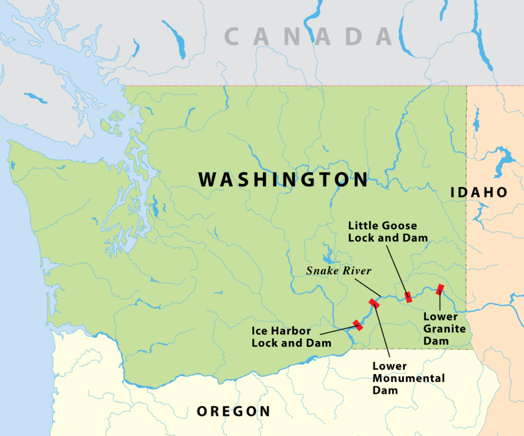 Recovering Northwest salmon - Seattle Aquarium