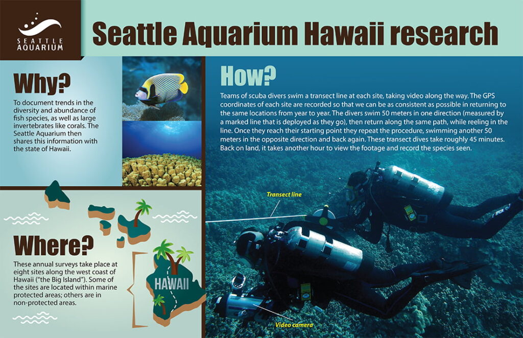 Climate resilience in coral reef fish communities - Seattle Aquarium