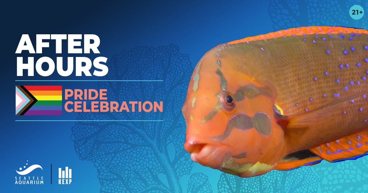 After Hours: Pride Celebration - Seattle Aquarium