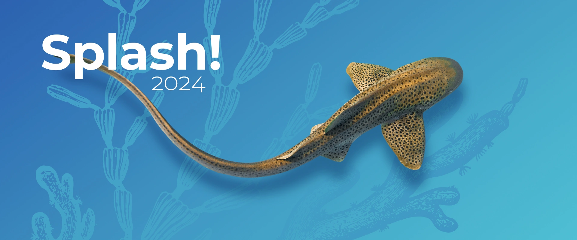 Splash! 2024 - Seattle Aquarium