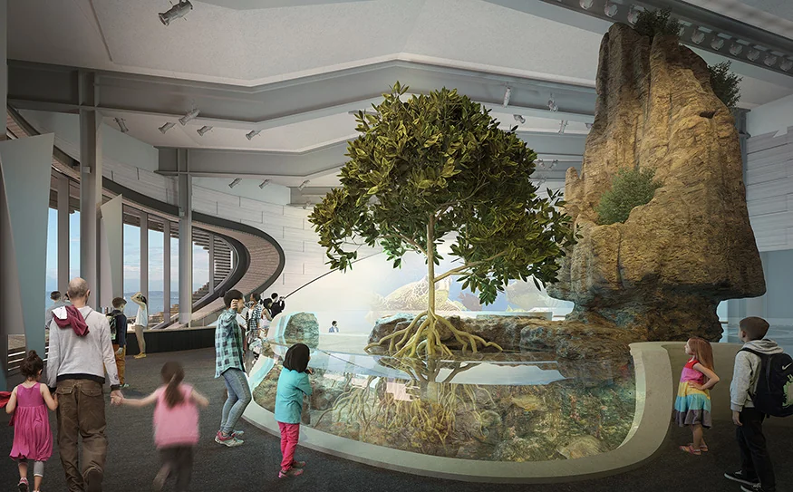 Opening August 29: The Seattle Aquarium’s Ocean Pavilion - Seattle Aquarium