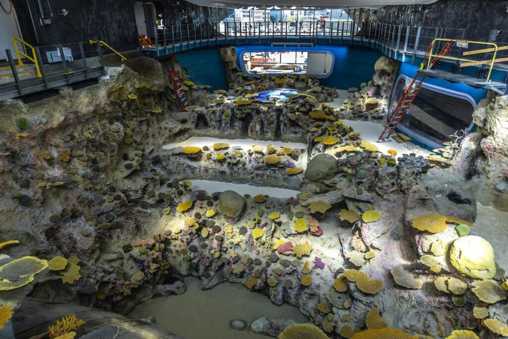 From idea to ecosystem: Creating the Ocean Pavilion’s biggest habitat ...