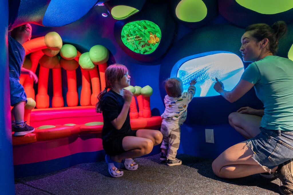 3, 2, 1…Ocean Pavilion! - Seattle Aquarium