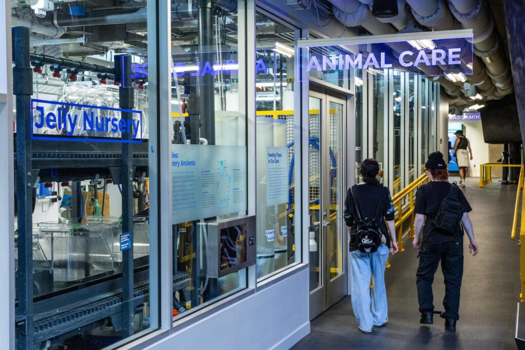 Seattle Aquarium’s Ocean Pavilion—Now open! - Seattle Aquarium