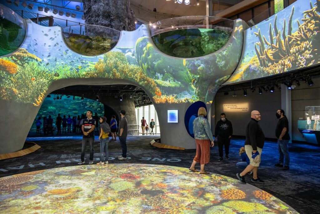 Seattle Aquarium’s Ocean Pavilion—Now open! - Seattle Aquarium