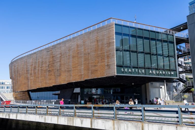 Seattle Aquarium’s Ocean Pavilion—Now open! - Seattle Aquarium
