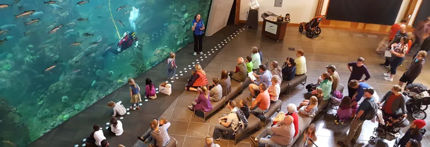 Plan Your Visit | Seattle Aquarium