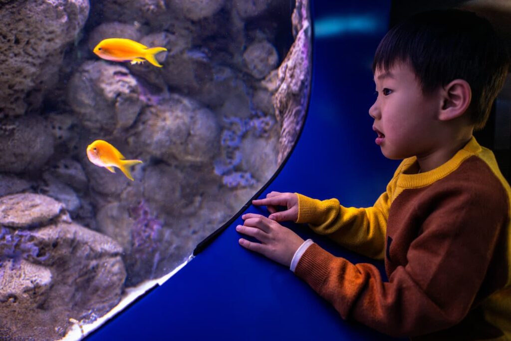 Seattle Aquarium’s Ocean Pavilion—Now open! - Seattle Aquarium