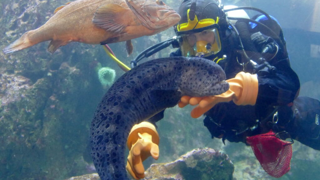 Preparing for your field trip - Seattle Aquarium