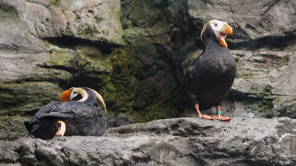 Preparing for your field trip - Seattle Aquarium