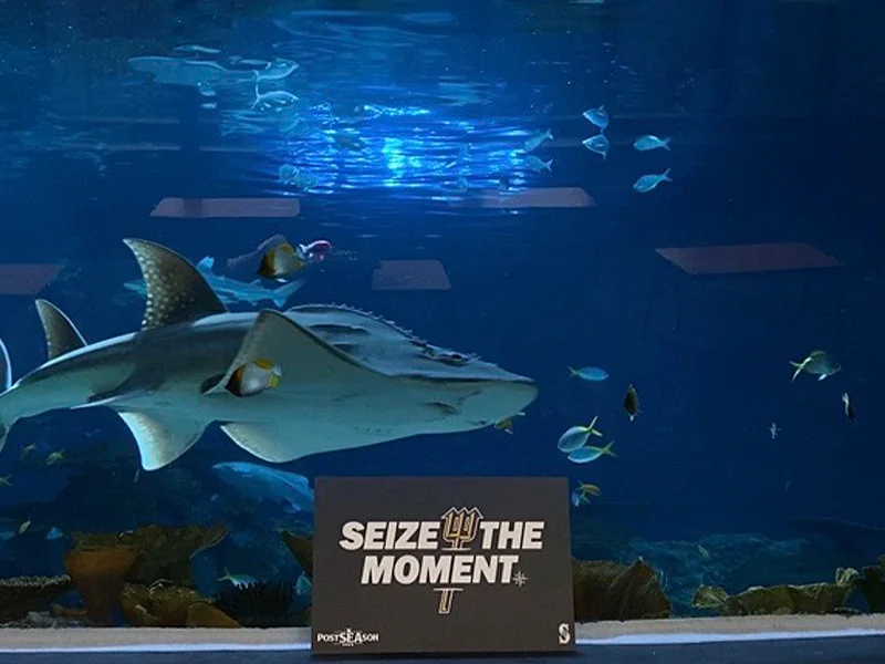 Mariners Homestand Discount Offer - Seattle Aquarium